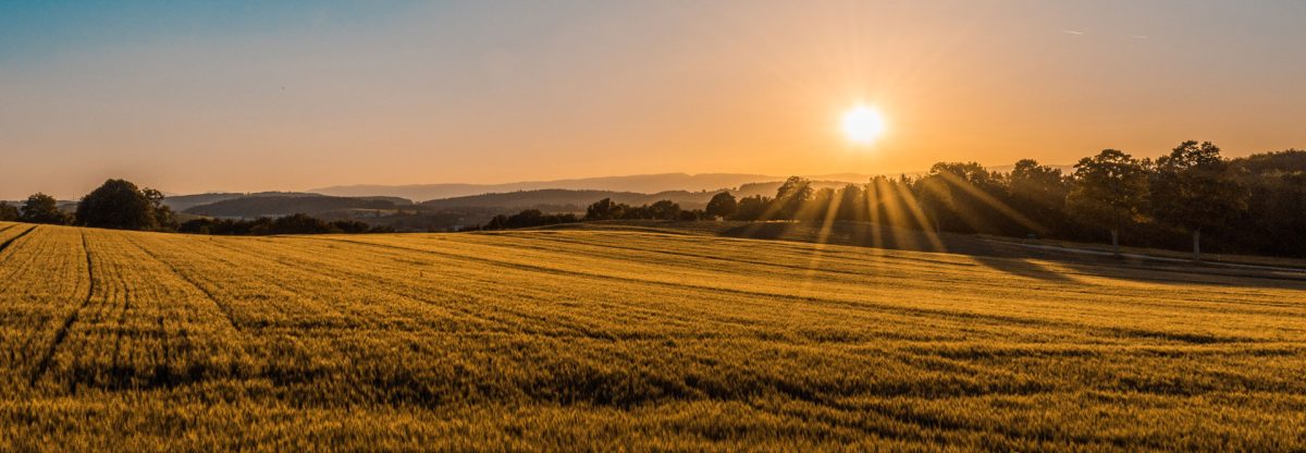 Home - Provincial Agricultural Land Commission