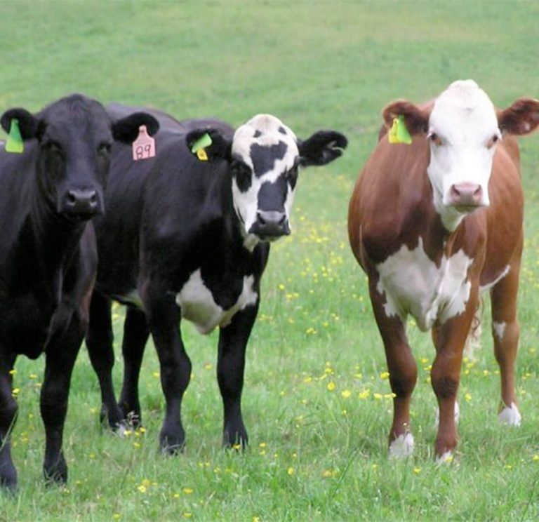 The ALC Act and ALR Regulations - Provincial Agricultural Land Commission