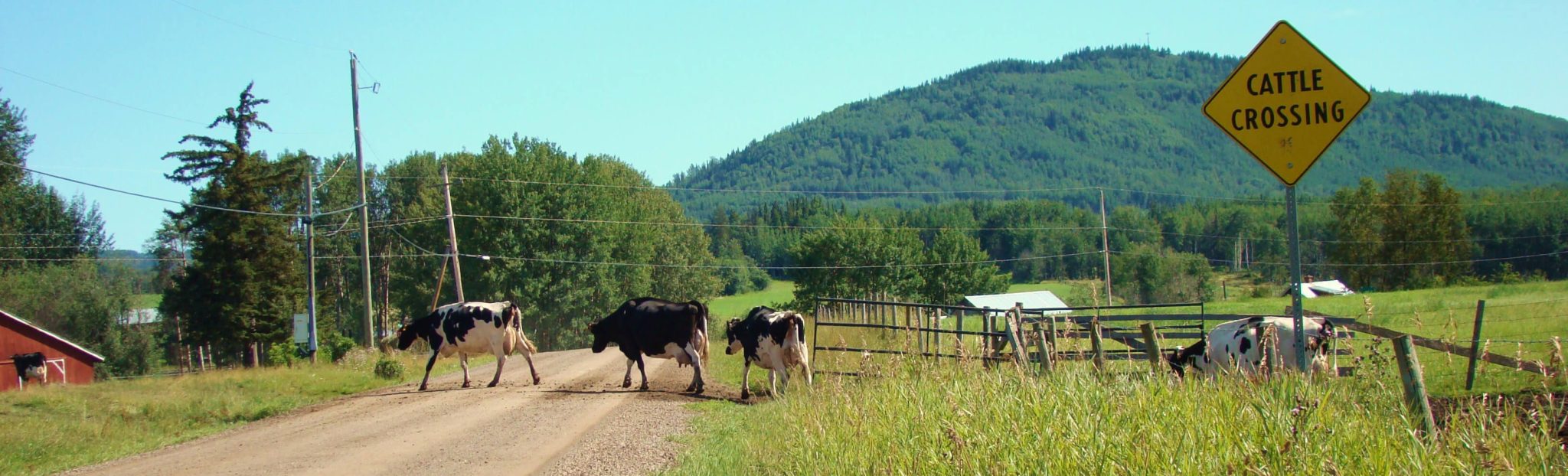 Buying and Owning Land in the ALR - Provincial Agricultural Land Commission